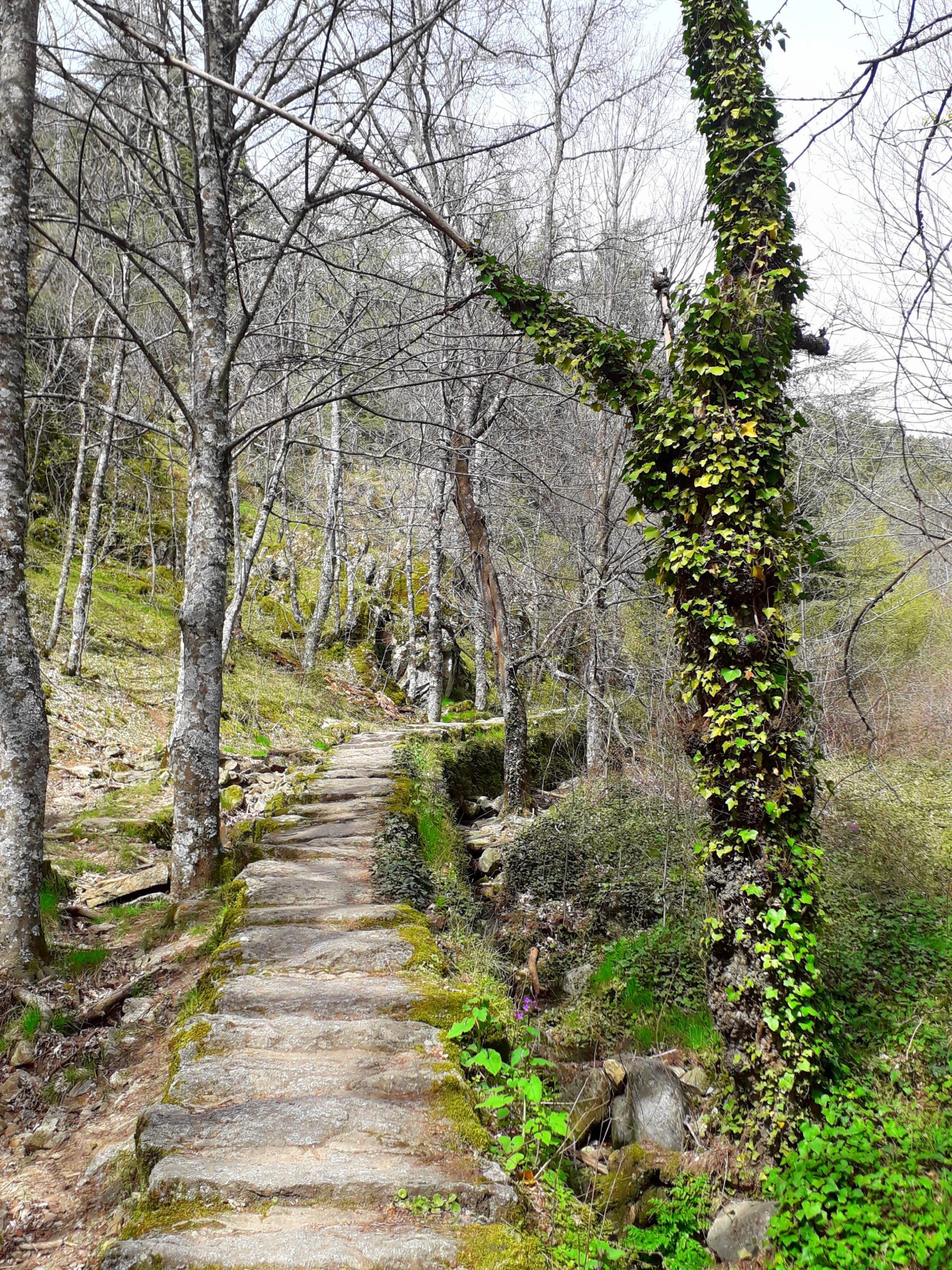 SENDA LOS TESOROS DE ABANTOS (El Escorial) - Pequeños Planes