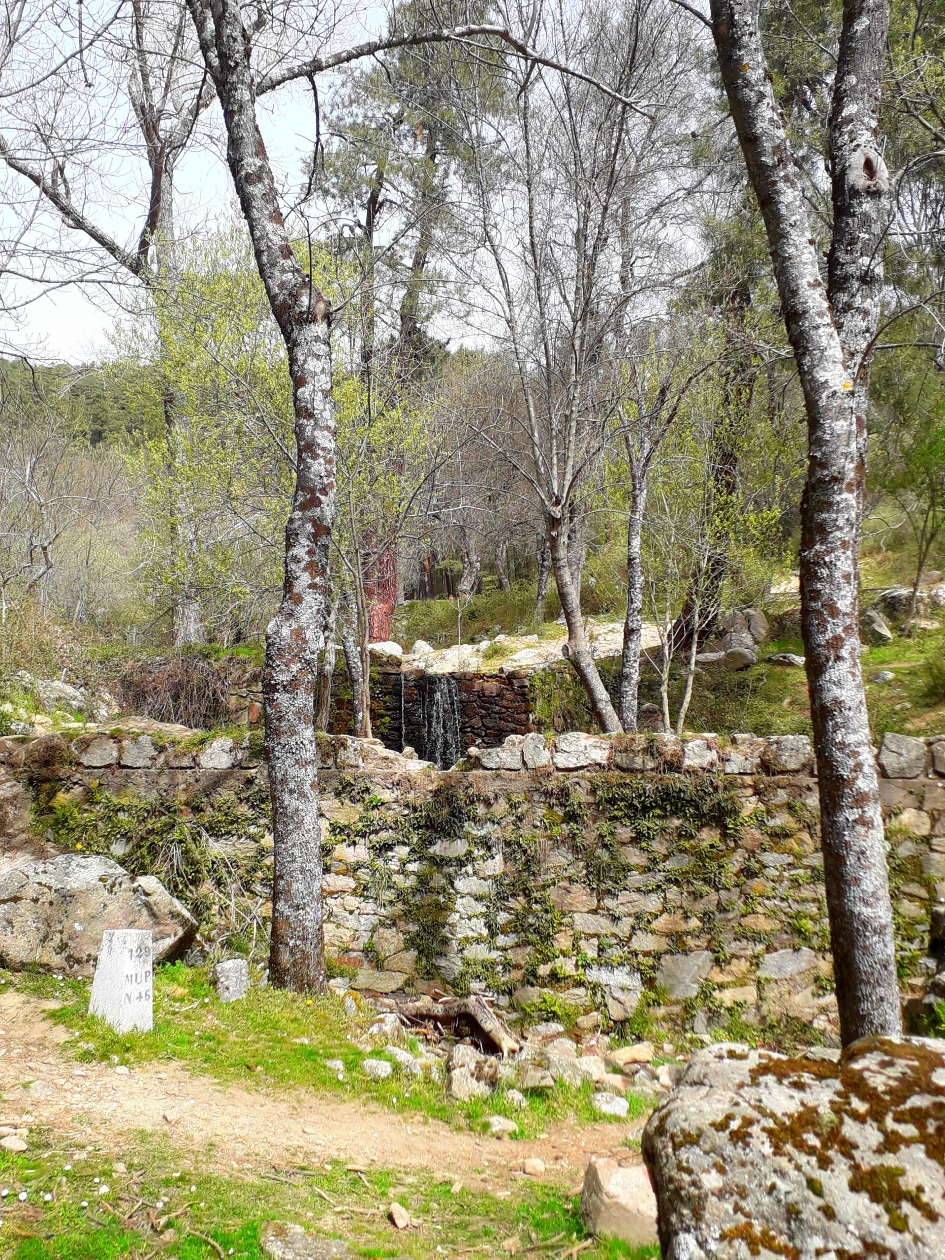 SENDA LOS TESOROS DE ABANTOS (El Escorial) - Pequeños Planes