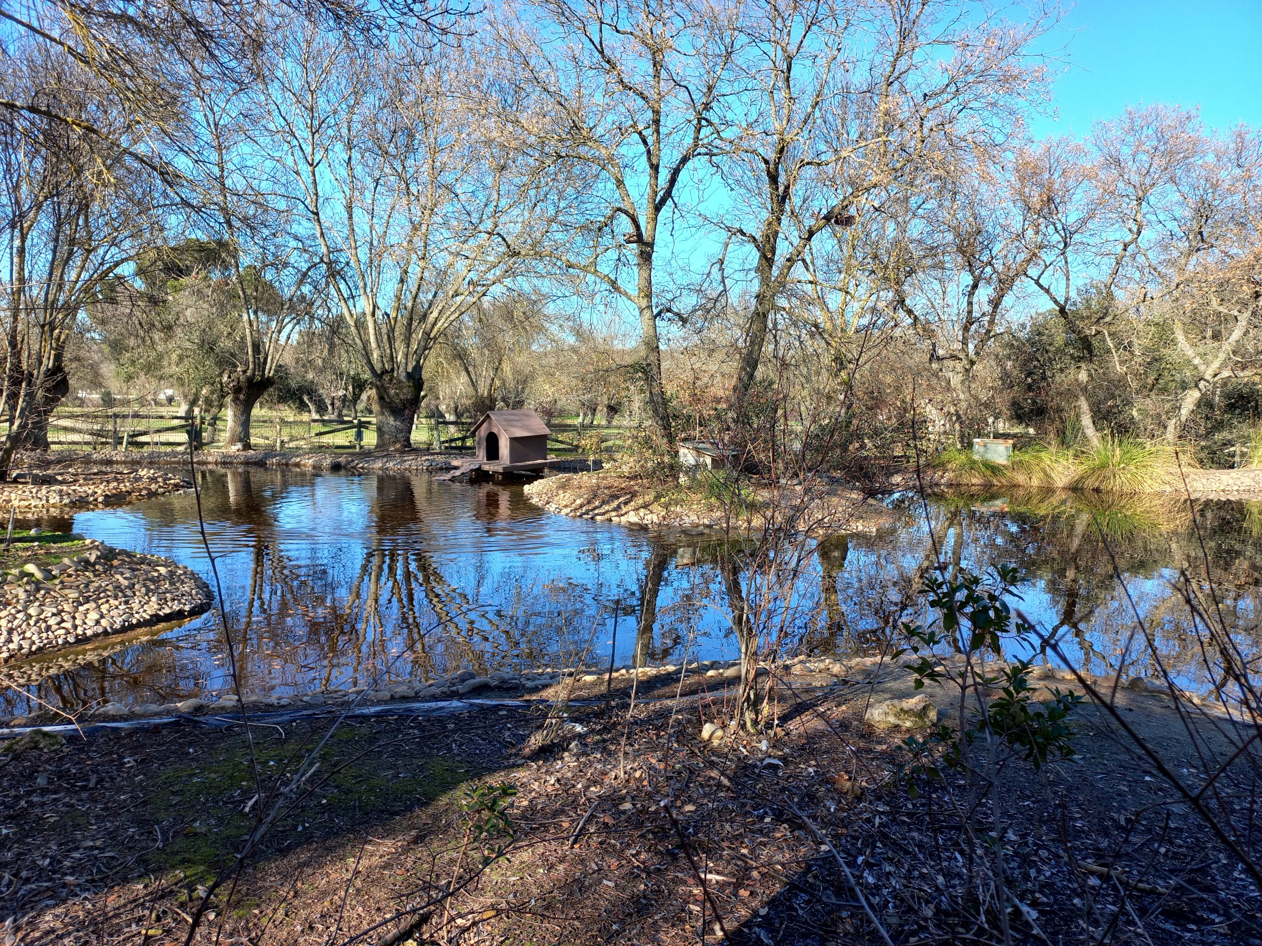 Senda del Arroyo de la Fresneda (Boadilla del Monte) - Pequeños Planes